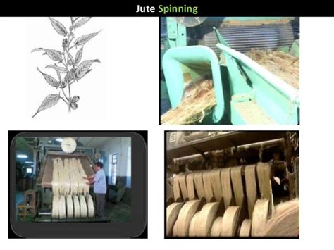 Image result for Jute Processing