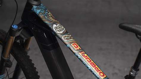 Image result for Bike Shield Frame Protection