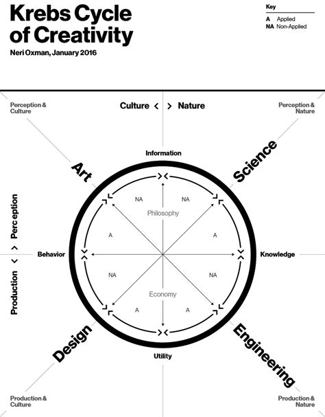 Image result for Creativity Cycle