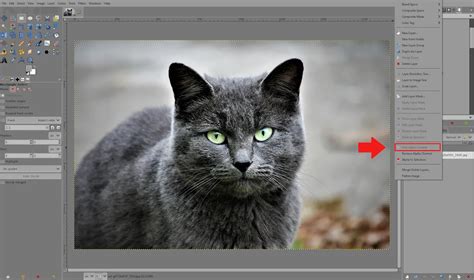 How to Make Background Transparent in GIMP – Tech Lounge