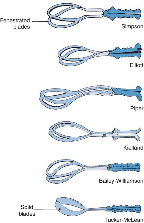 Image result for Types of Forceps