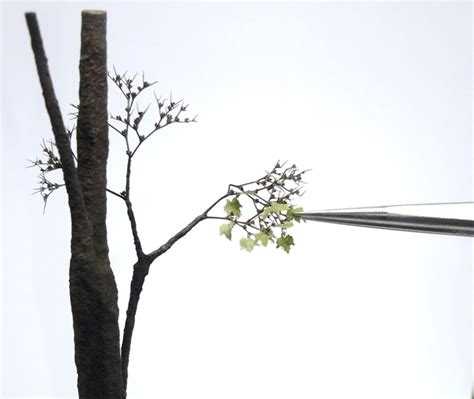 Image result for Modeling Scale Fir Trees