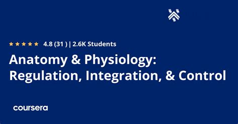 Image result for Control Systems Example Physiology