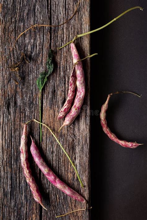 Image result for October Beans