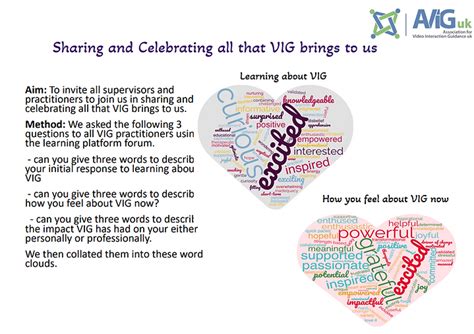 Image result for Video Interaction Guidance Reflective Questions