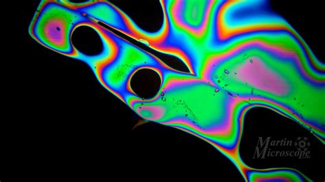 polarized – Martin Microscope