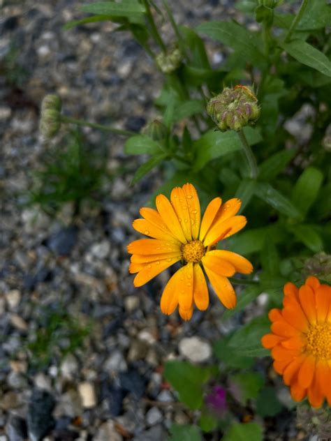 Image result for Unpredictable Changes