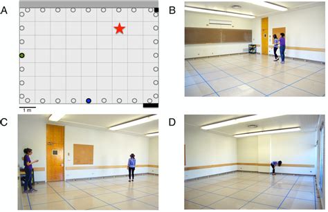 Image result for Open Test Procedure