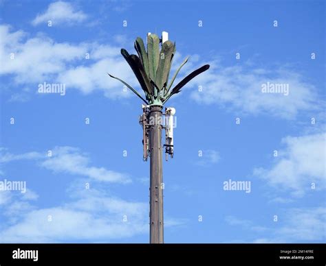 Image result for Fake Tree Cell Tower