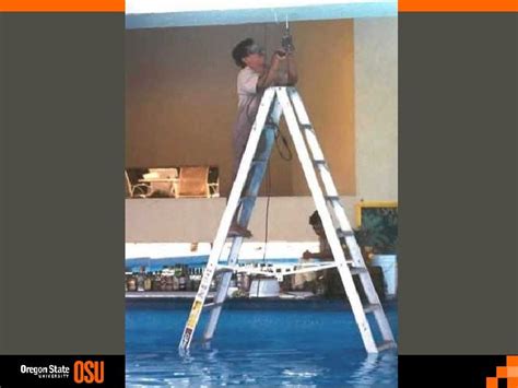 Image result for Environmental Conditions When Using a Ladder