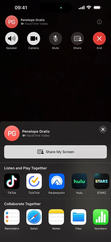 Image result for iOS 14 FaceTime
