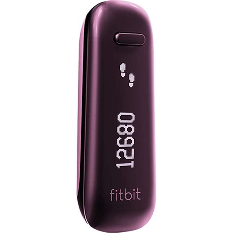 Image result for Fitbit One Software