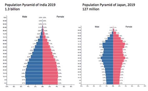 Image result for Population Composition Population Pyramid