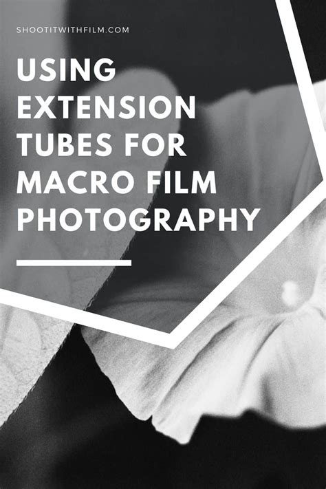 Image result for Using Macro Extension Tubes