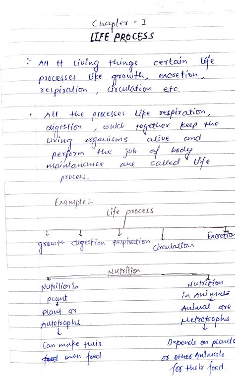 Image result for Class 10th Chapter 1 Life Process