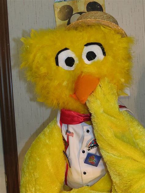 Image result for Bird Puppet