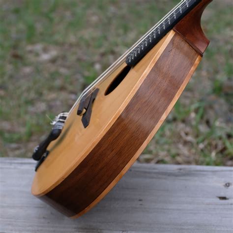 Image result for Nylon String Mandolin