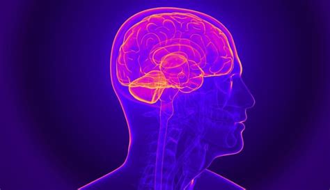 Image result for How Trauma Affect Memory