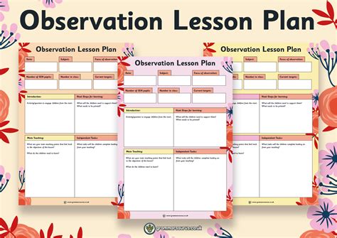 Image result for Observation Insight Lesson