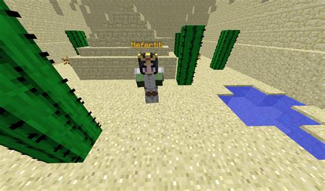 Image result for Custom-Design Minecraft Boss