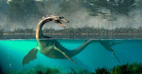 Image result for True Cryptids