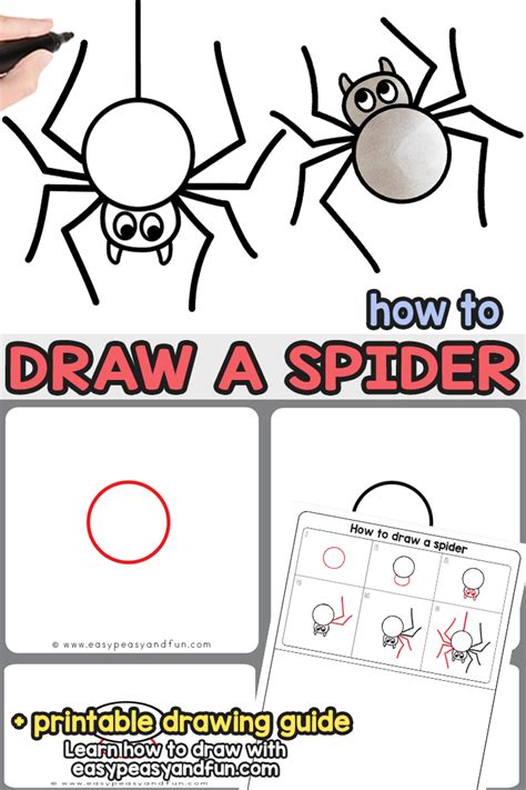 Image result for Basic Spider Drawing