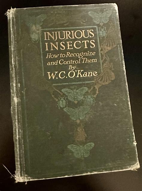 Image result for My First Insect Book