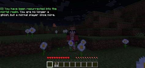 Image result for Minecraft Ghost Mod