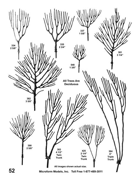 Image result for Modeling Scale Fir Trees