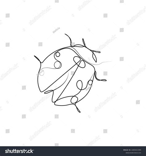 Image result for Ladybug Line Drawing