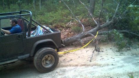 Image result for Tree Pull Fail