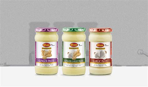 Image result for Ginger Garlic Paste Cover Design