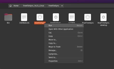 Image result for How to Use FreeFileSync