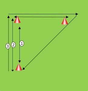 Image result for Step Over Cones Exercise