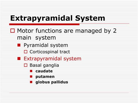 Image result for Le Systeme Extrapyramidal