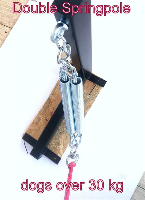 Image result for Dog Spring Pole