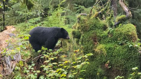 Image result for BSF Lesson 16 Questions