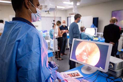 Image result for Dissection of Ear Real