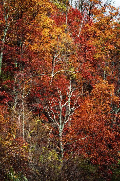 Image result for Fall Rustage