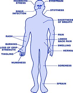 Image result for Body Mapping Exercise