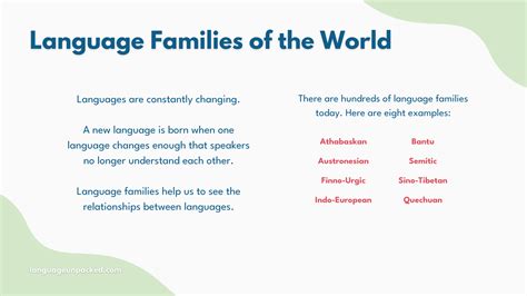 Image result for Language Comparison