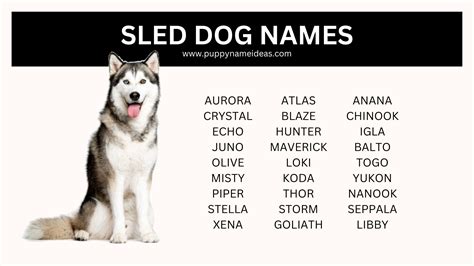 Image result for Snow Dogs Names