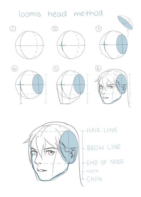 Image result for Anime Head Tutorial