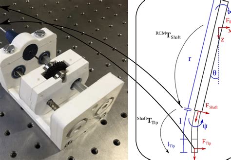 Image result for Distal Control Elements