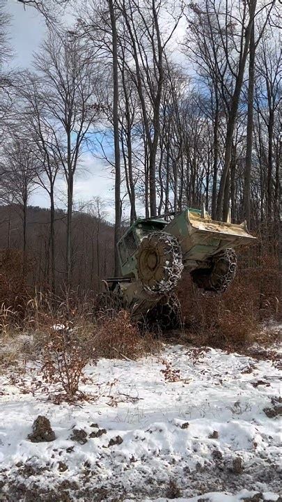 Image result for Timberjack Reviews