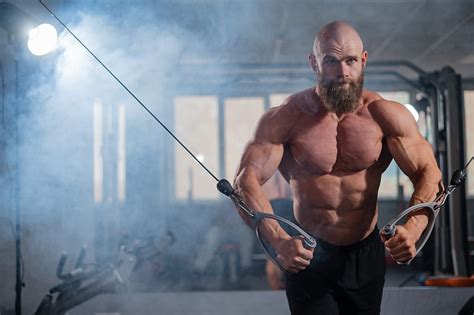 Image result for Chest Fly Exercise Drawing