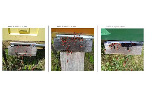 Image result for Raspberry Pi Beehive Monitor