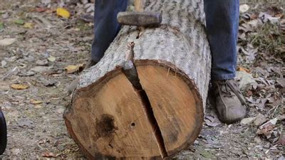 Image result for How to Split a Log