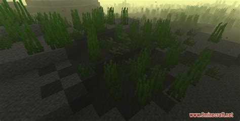 Image result for Swamp Minecraft Shaders