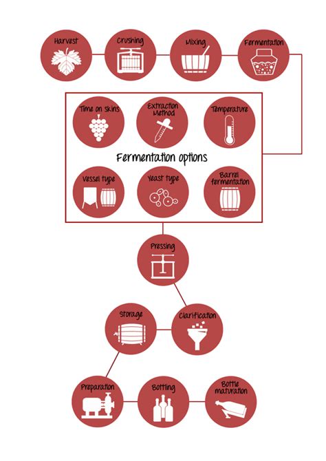 Image result for Wine Production Process